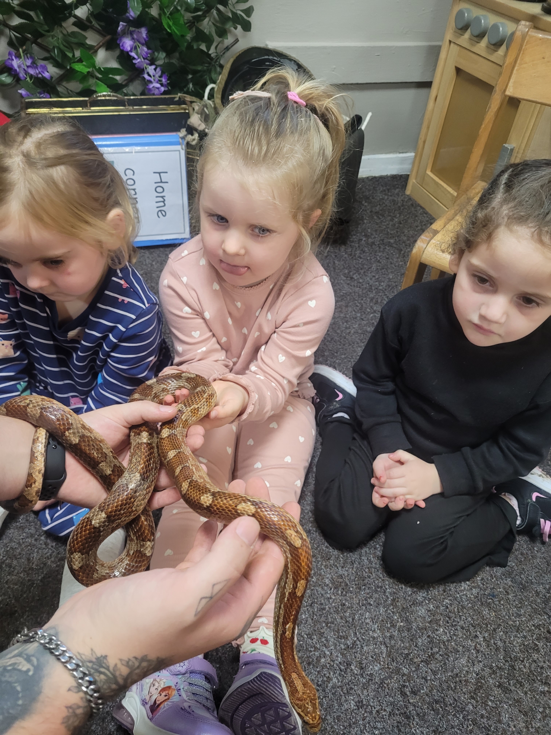 Meeting animals up close with ZooLab - Little Acorns Nursery